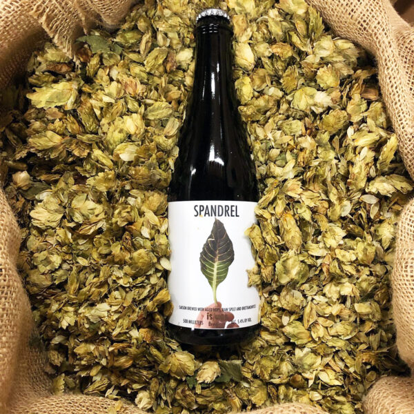 Is/Was Brewing | Explore Chicago's Malt Row